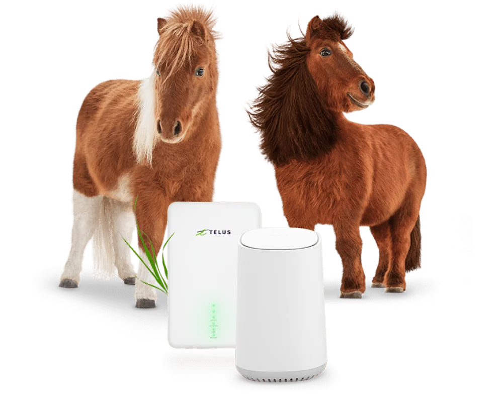 Wireless high-speed home internet | TELUS