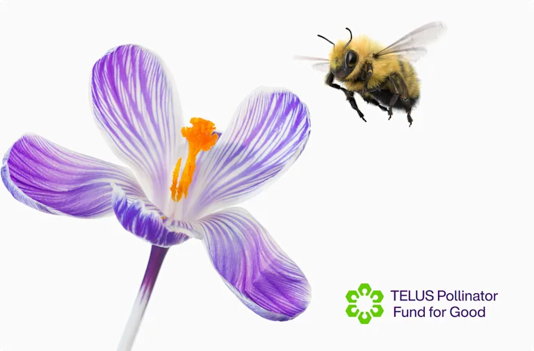 Powered by purpose to help improve our world | TELUS
