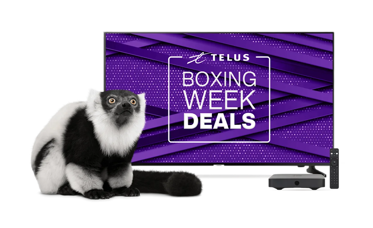Free 55” Samsung 4K TV with Internet and Optik TV | TELUS