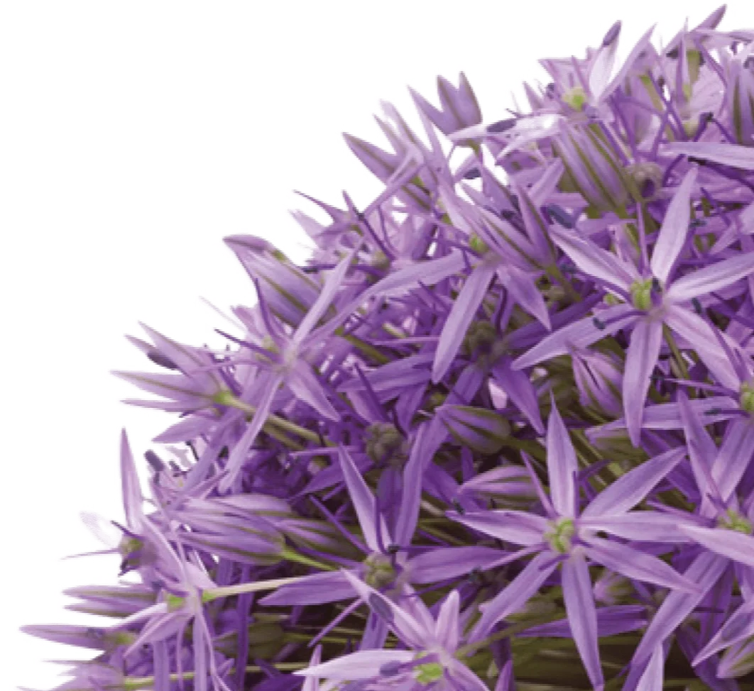 2022 annual report | TELUS