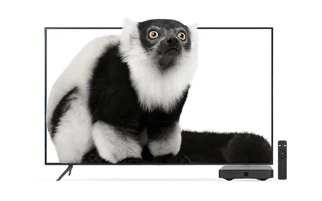 Explore Optik TV and Streaming - Digital TV Services | TELUS
