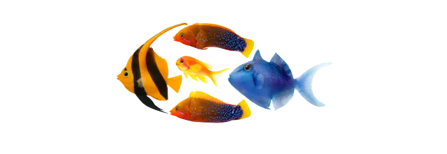 Online Security Prevention | TELUS