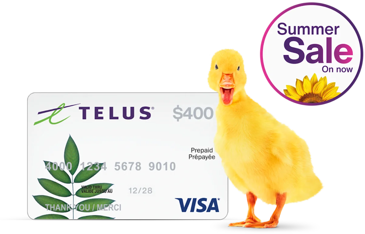 Phones, Internet and TV on the most-awarded network | TELUS