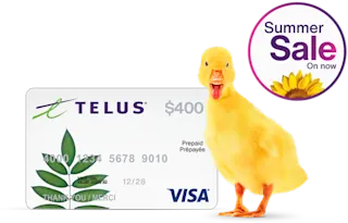 Phones, Internet and TV on the most-awarded network | TELUS