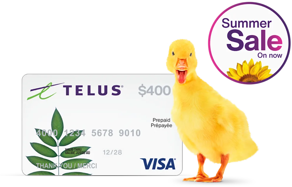 Phones, Internet and TV on the most-awarded network | TELUS