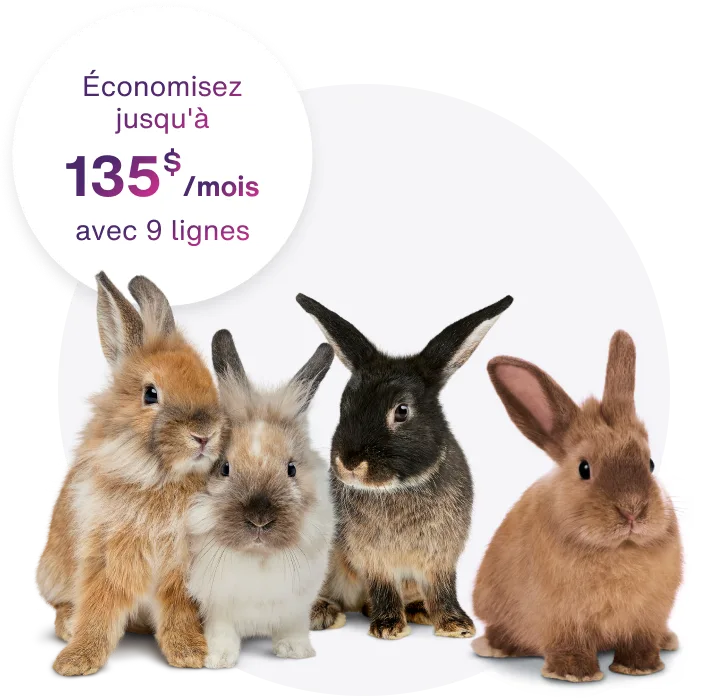 Économisez sur les forfaits avec Rabais famille TELUS
