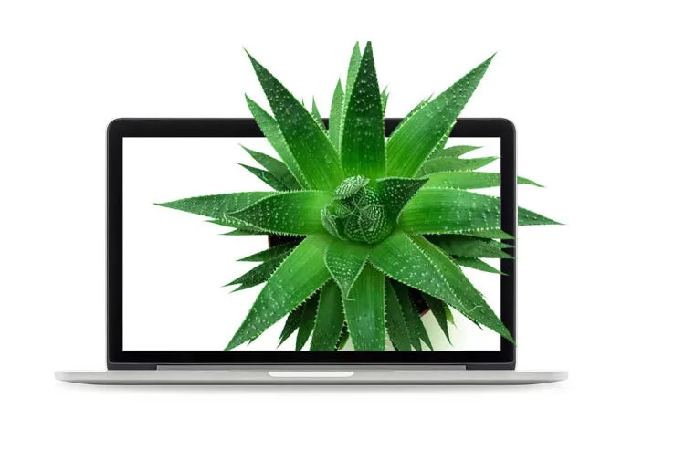 Oacis Clinical Information System | TELUS Health