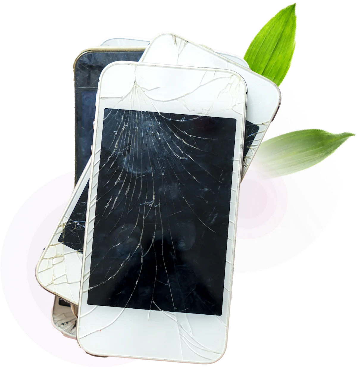Recycle your pre-loved devices | TELUS