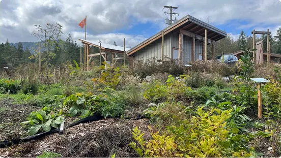 TELUS Local Content - TELUS originals