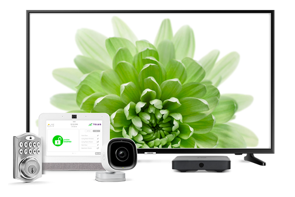 Get TELUS Internet from $50/mo. | TELUS