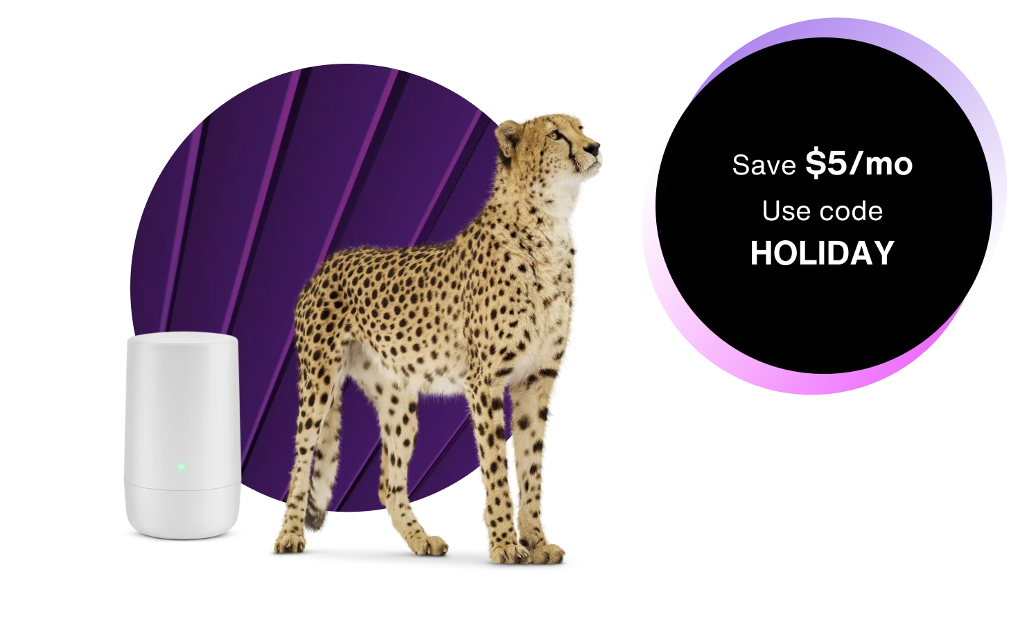 Get PureFibre Internet 250 and save up to $35/mo. | TELUS