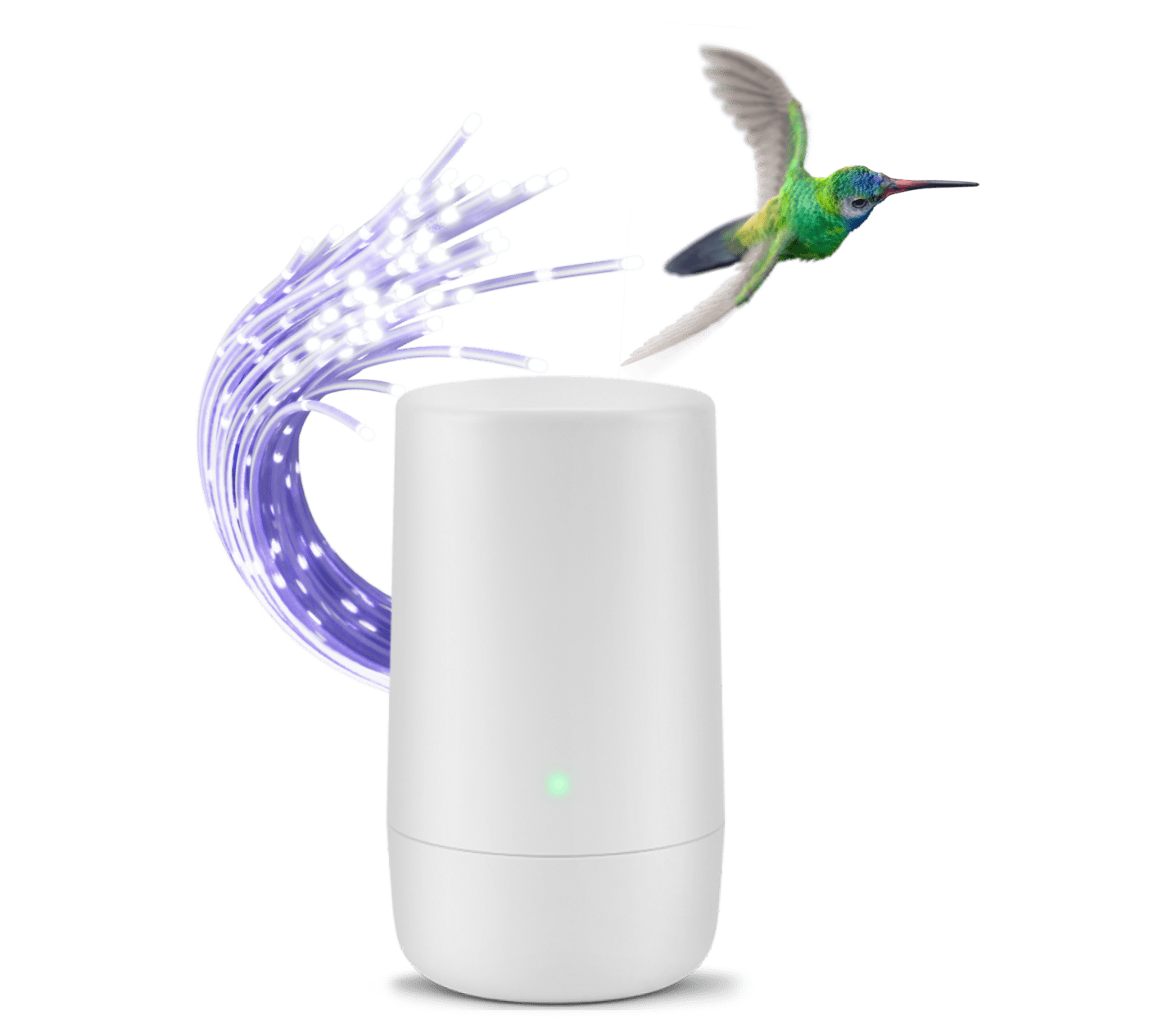 Get PureFibre Internet 500 for $95/mo. | TELUS