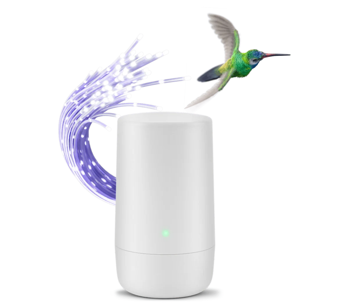 Get PureFibre Internet 500 for $95/mo. | TELUS