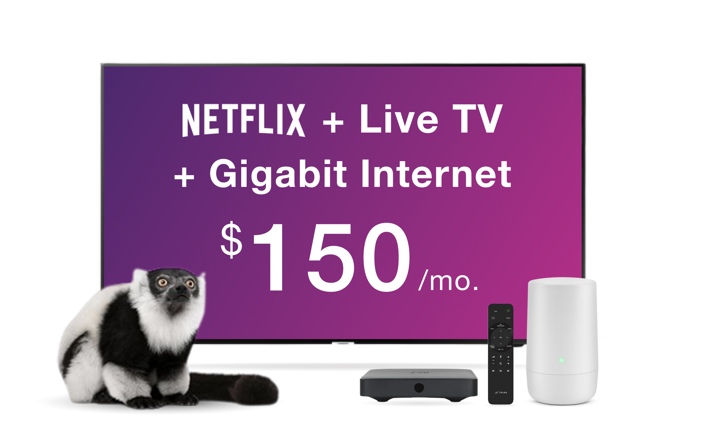 Get PureFibre Gigabit Internet and Netflix with the new Optik TV from ...