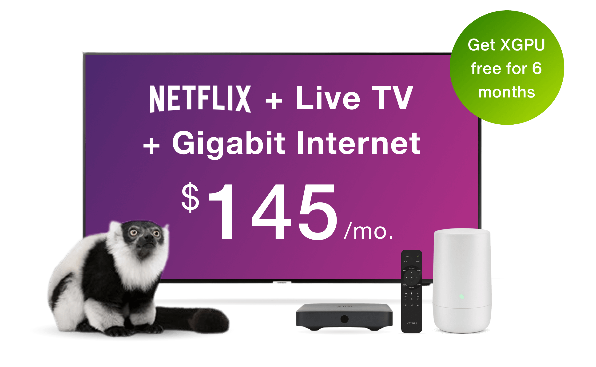 Get PureFibre Gigabit Internet and Netflix with the new Optik TV from ...