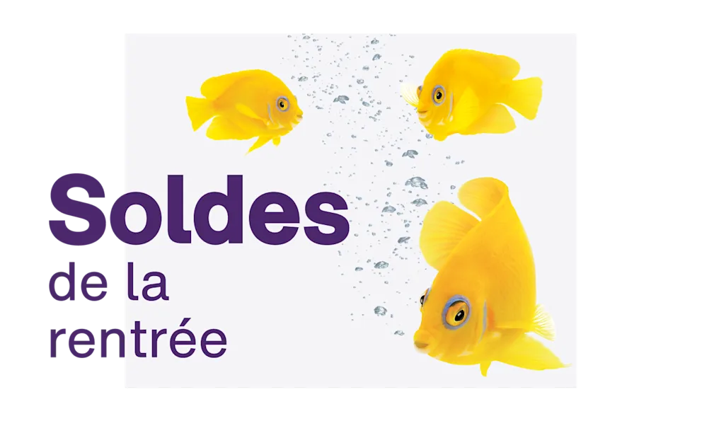 Services téléphoniques, Internet et télé | TELUS