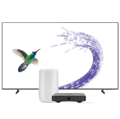 Internet Providers Toronto - Home Internet | TELUS