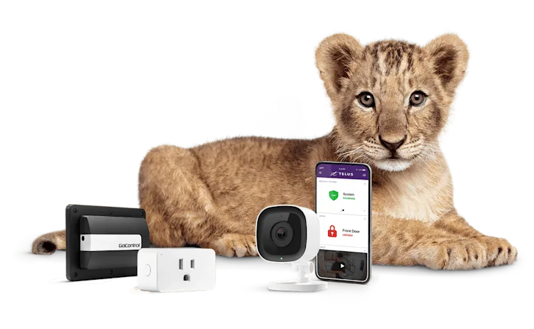 Automate your home with the Smart Automation Plus plan | TELUS