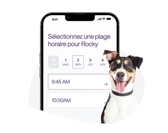 Mon Animal TELUS Santé | TELUS