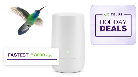 Home Internet - Get Unlimited High Speed Internet | TELUS