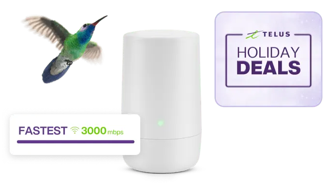 Home Internet - Get Unlimited High Speed Internet | TELUS