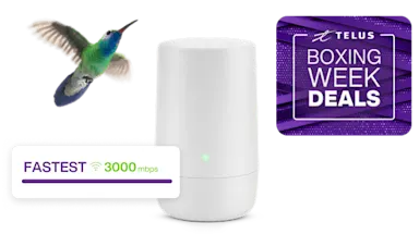 Home Internet - Get Unlimited High Speed Internet | TELUS