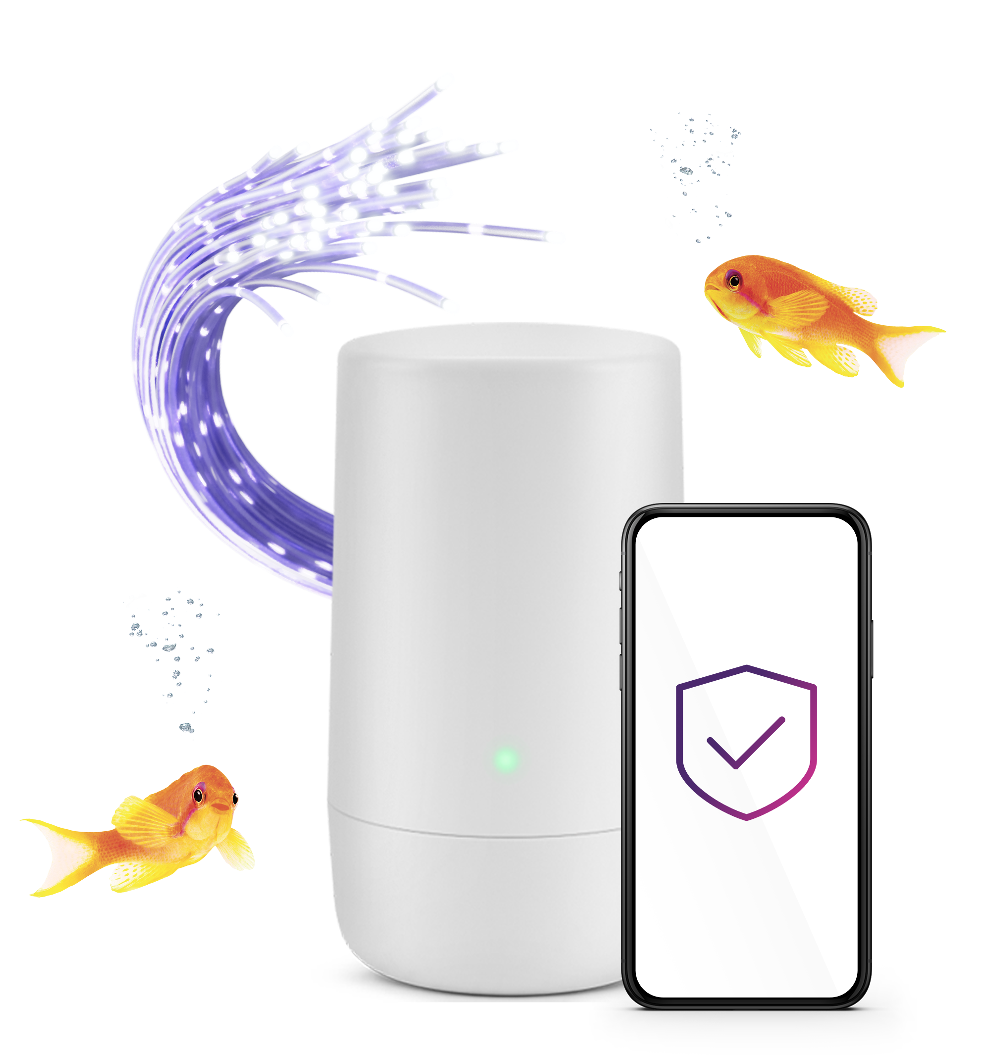 Internet PureFibre et Protection numérique de TELUS | TELUS