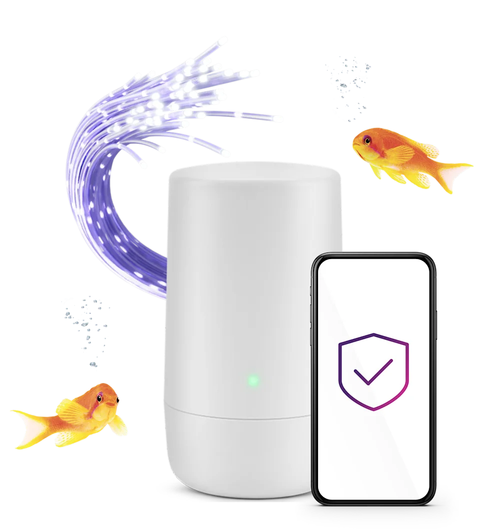 Phones, Plans and more on the most-awarded network | TELUS