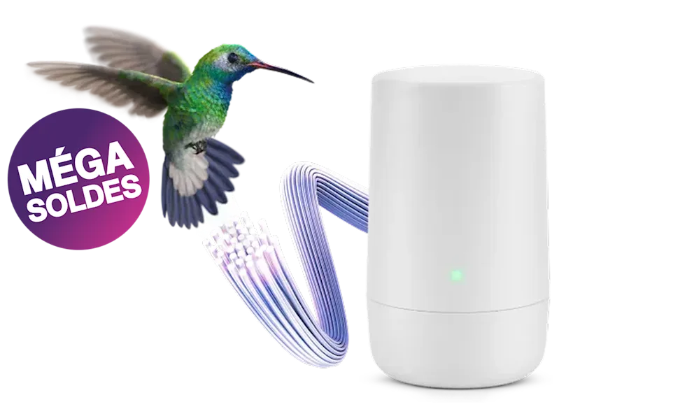 Fournisseurs d'Internet Montreal - Internet résidentiel | TELUS