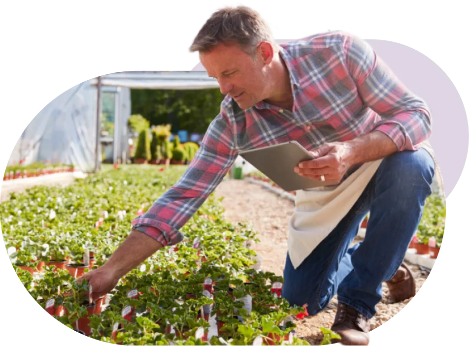 Smart Hub - Rural High Speed Internet | TELUS