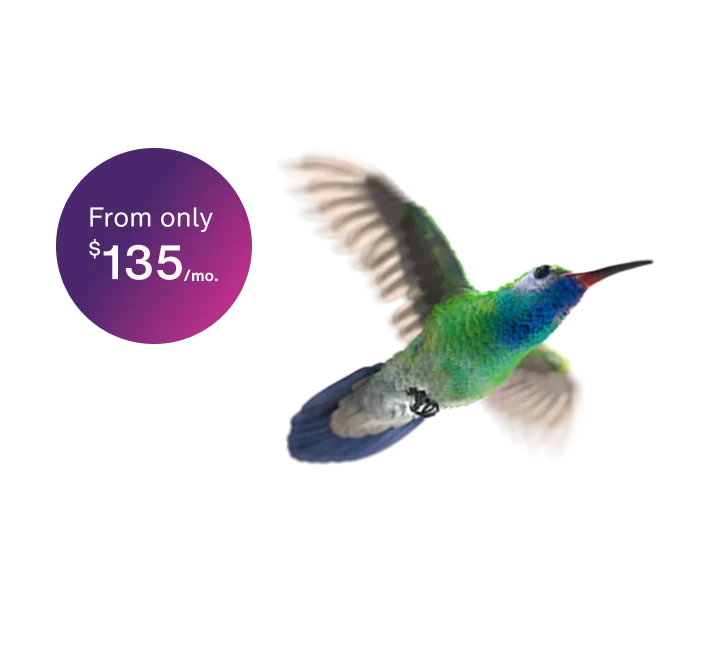 About TELUS PureFibre 5 Gig | TELUS