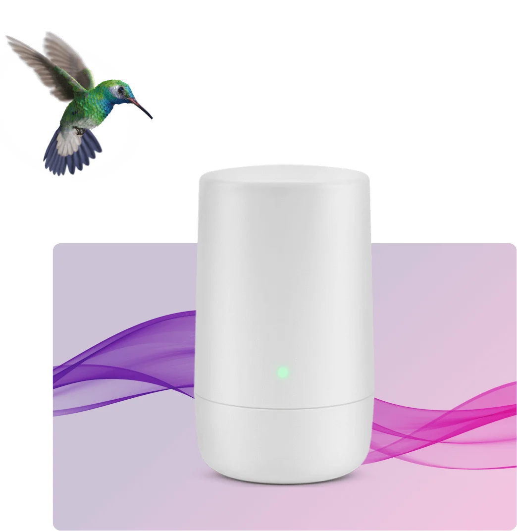 Fibre Internet - High Speed Fibre Optic Internet | TELUS