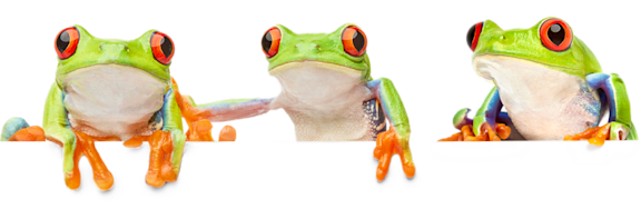 Switch to TELUS | TELUS