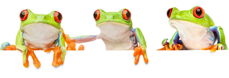 Switch to TELUS | TELUS