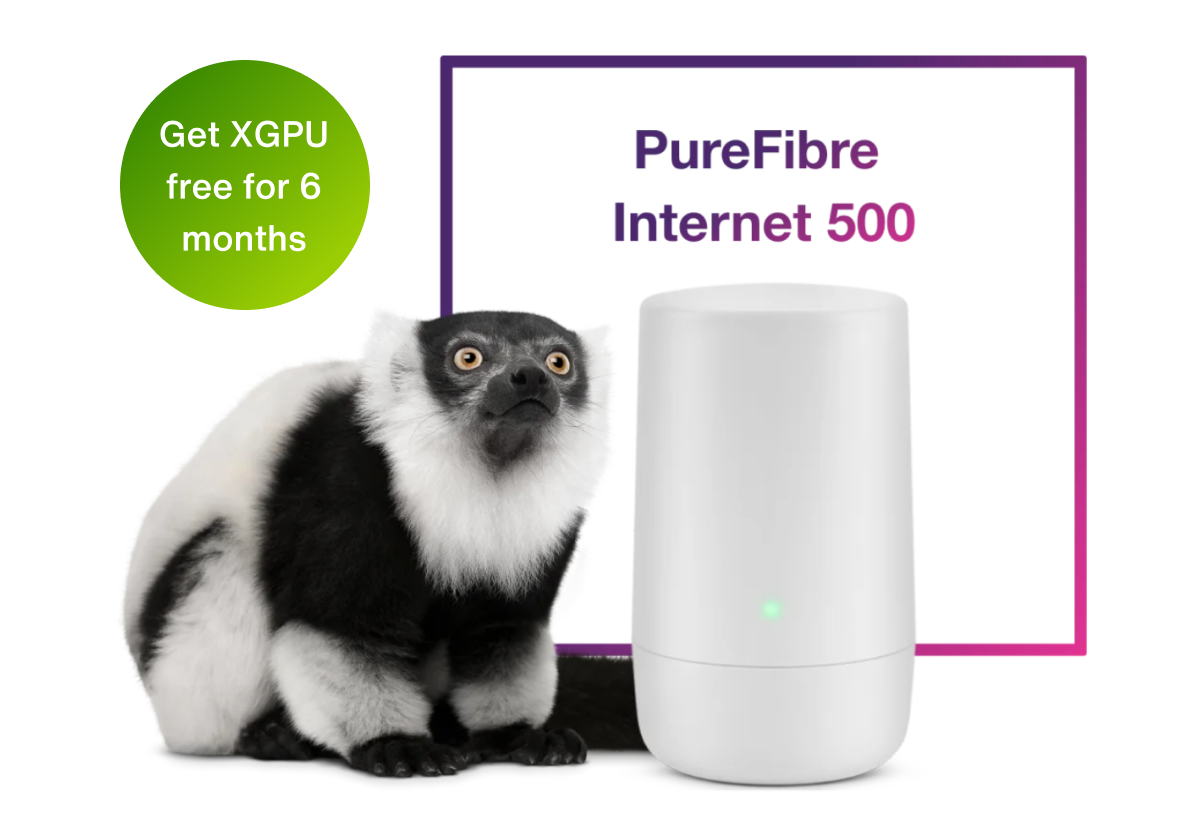 Get PureFibre Internet 500 for $85/mo. | TELUS