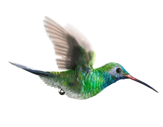 Watch Live Sports on TV - Channels & Theme Packs | TELUS