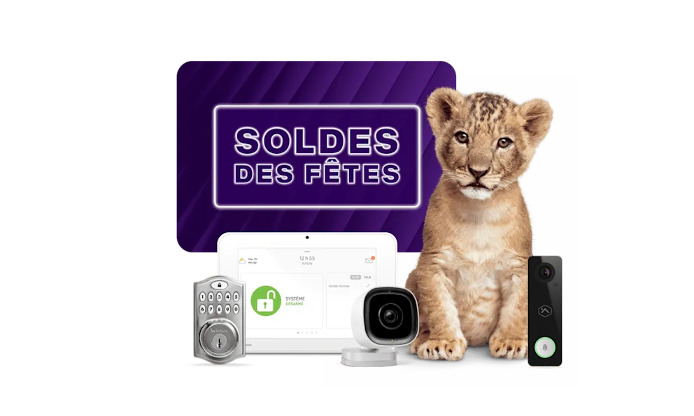 Services téléphoniques, Internet et télé | TELUS