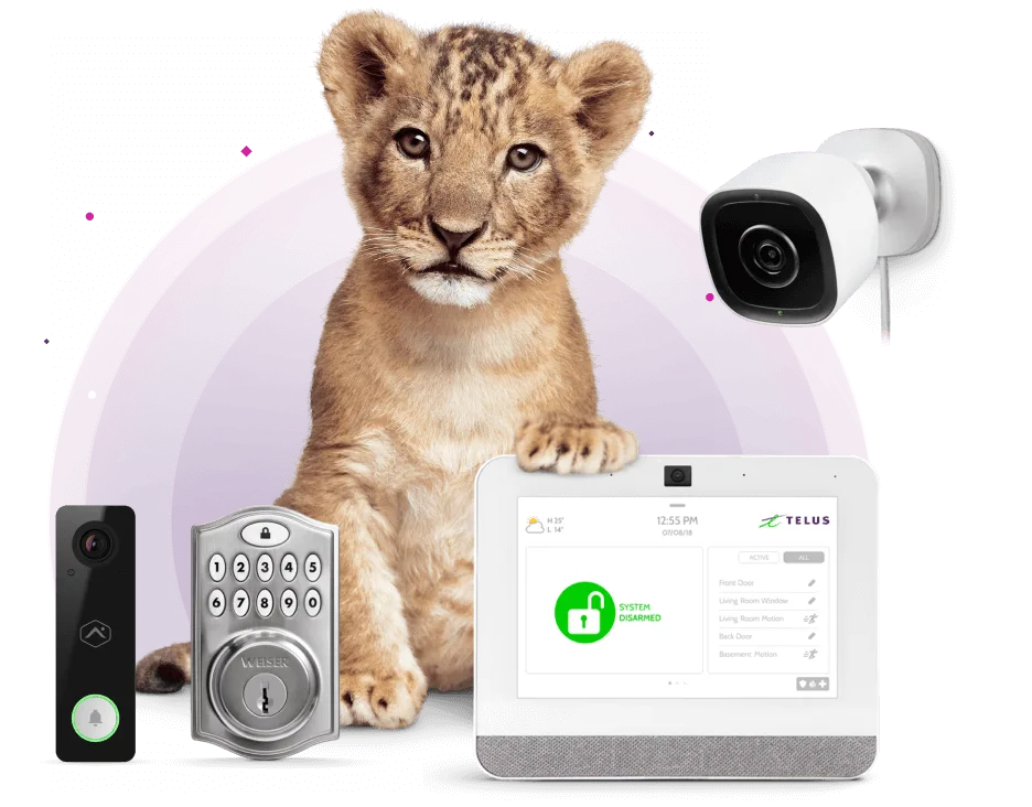 Services téléphoniques, Internet et télé | TELUS