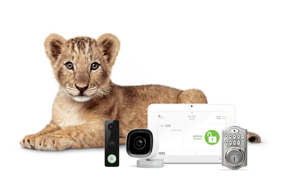 Services téléphoniques, Internet et télé | TELUS