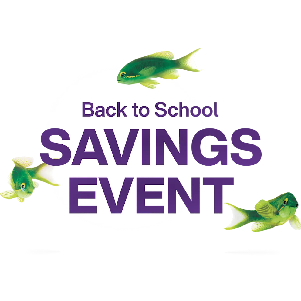 Phones, Internet and TV on the most-awarded network | TELUS