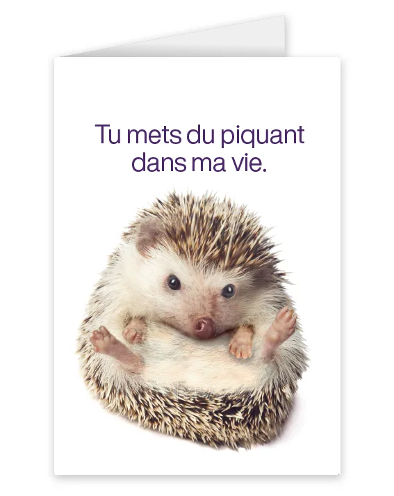Amusons-nous avec les animaux-vedettes | TELUS