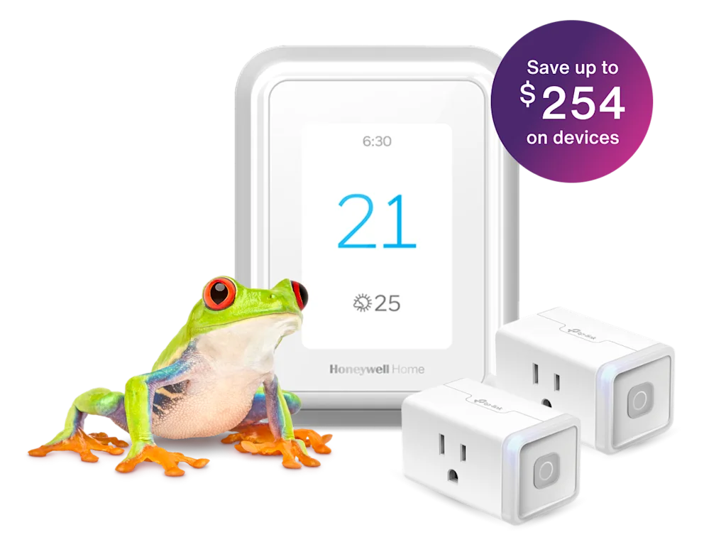 Phones, Internet and TV on the most-awarded network | TELUS