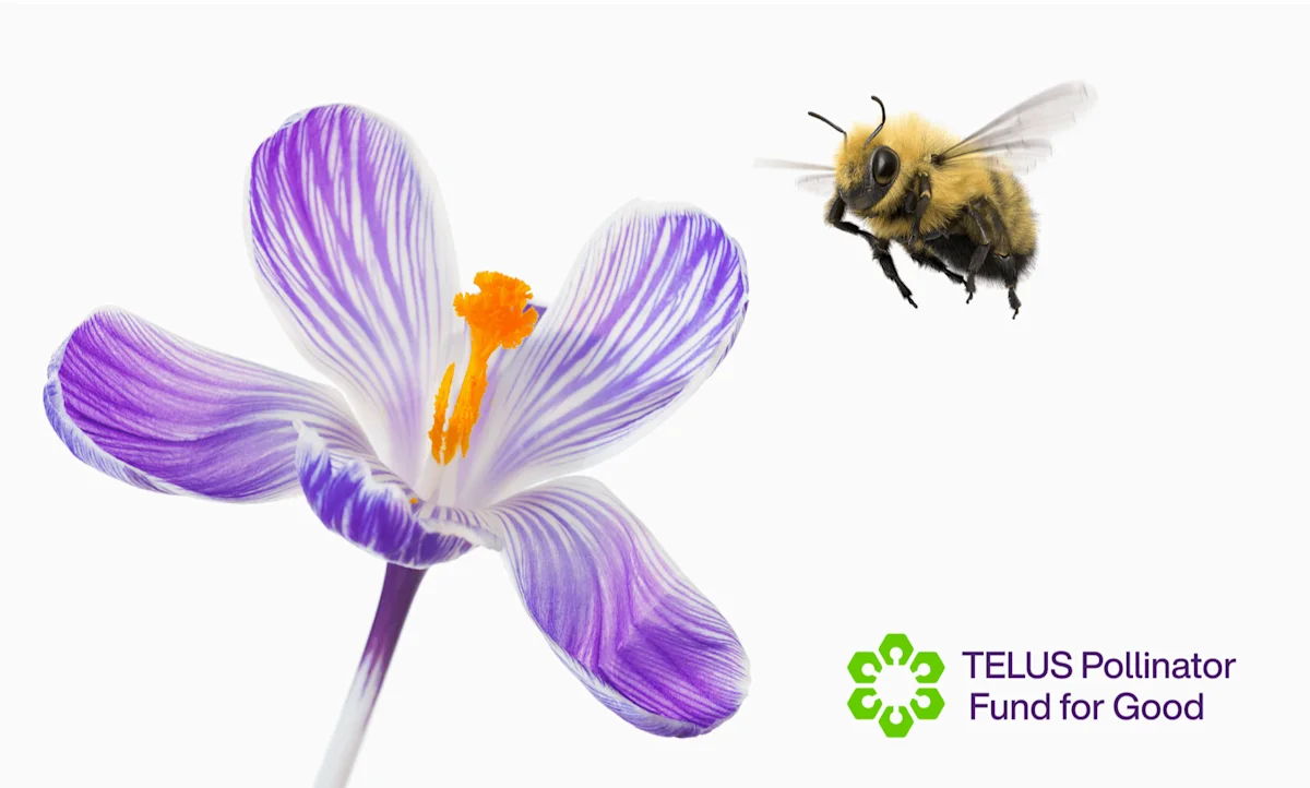 Creating a more sustainable future | TELUS