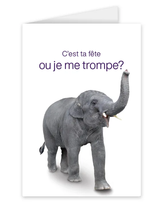 Amusons-nous avec les animaux-vedettes | TELUS
