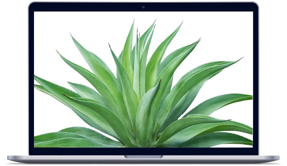 PS Suite EMR | TELUS Health