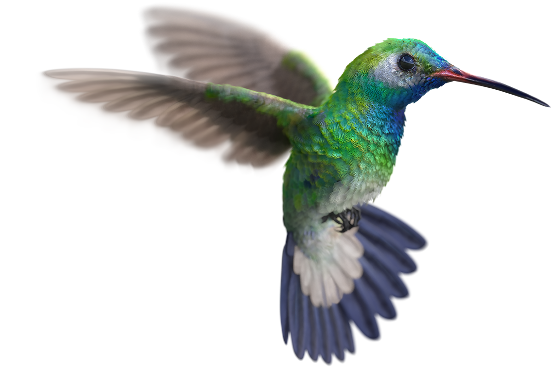 5G and LTE Network Coverage, Map, Speed | TELUS