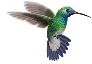 5G and LTE Network Coverage, Map, Speed | TELUS