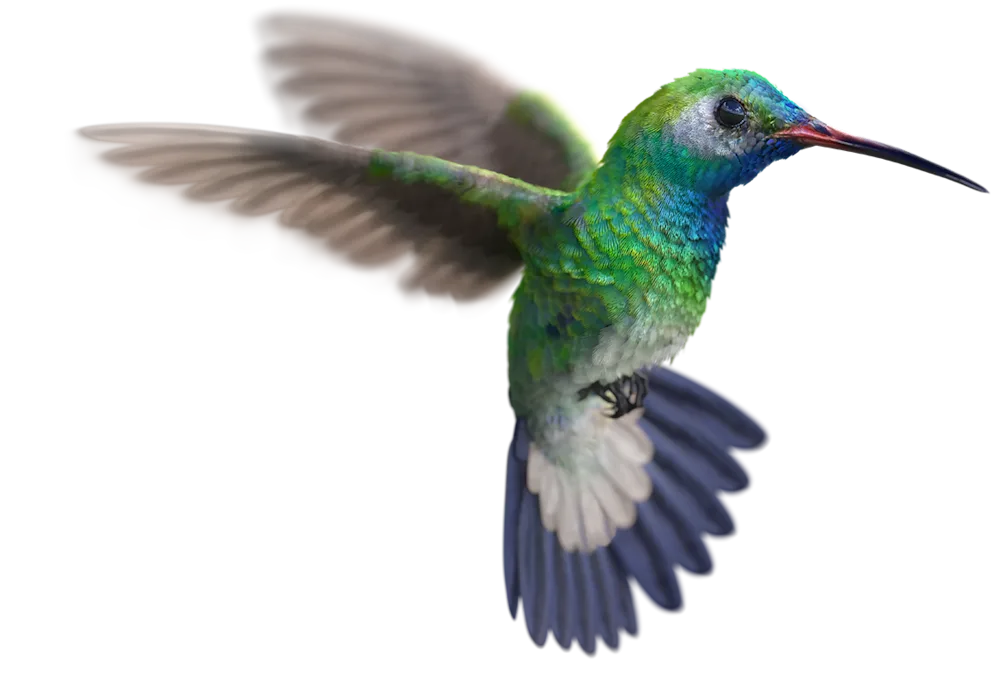 5G and LTE Network Coverage, Map, Speed | TELUS