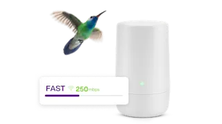 Home Internet - Get Unlimited High Speed Internet | TELUS