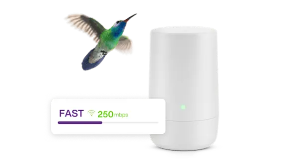 Home Internet - Get Unlimited High Speed Internet | TELUS